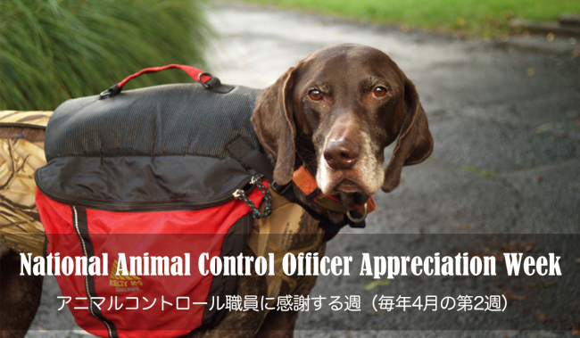 アニマルコントロール職員に感謝する週（National Animal Control Officer Appreciation Week ...